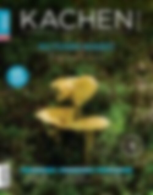 KACHEN #28 (Autumn 2021) English Edition